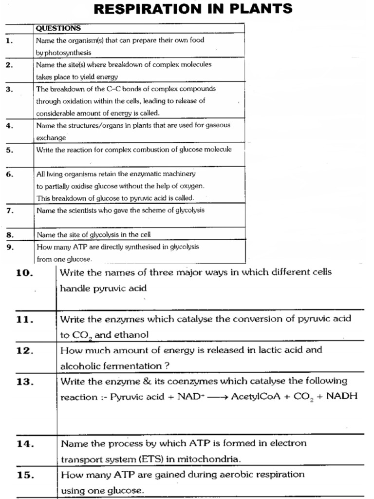 Test Respiration in Plants | PDF