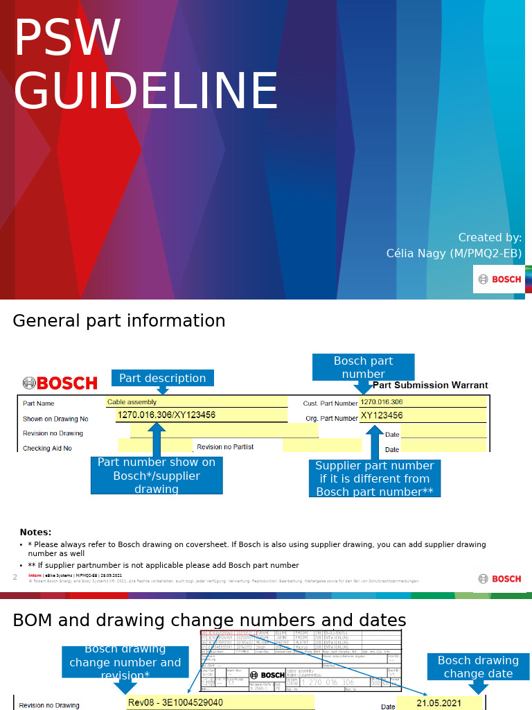 PSW Guideline | PDF | Business
