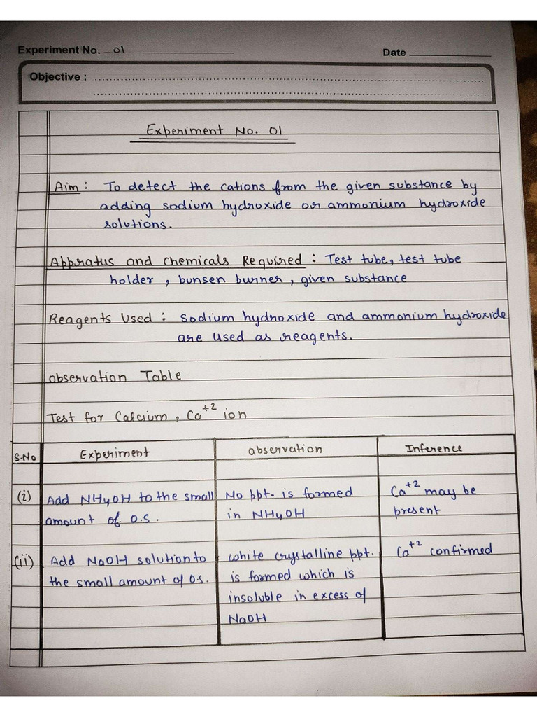 Lab Manual Work Class 10 Icse | PDF