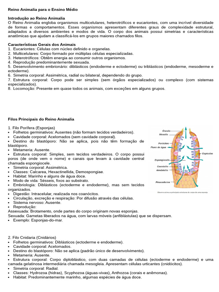resumo reino animalia | PDF | Moluscos | Insetos