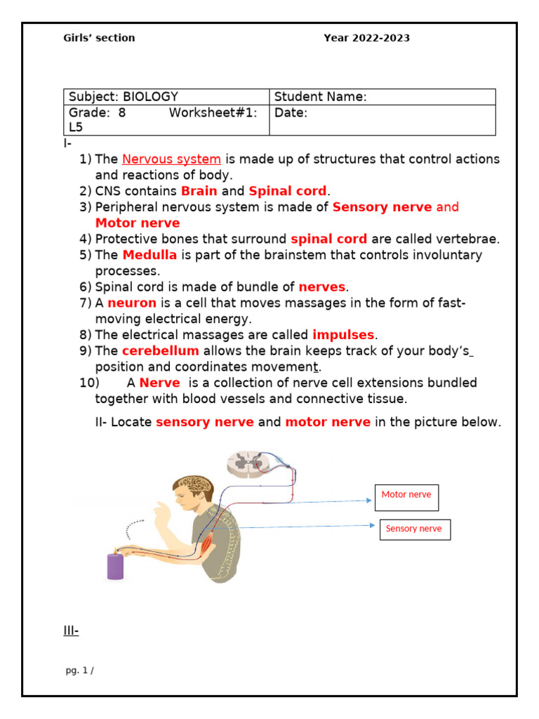 Workseet - 1 (l5) Answers | PDF