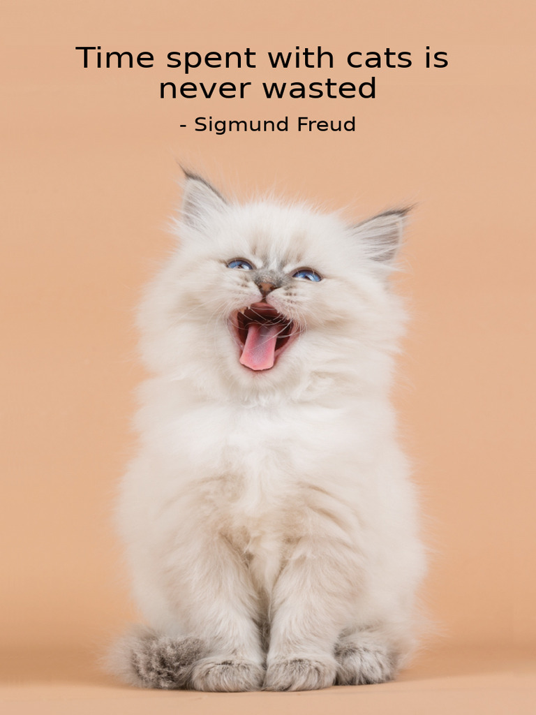 Cat Poster | PDF
