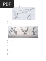 Vacuum Delivery (Kiwi) | PDF | Childbirth | Anatomical Terms Of Motion