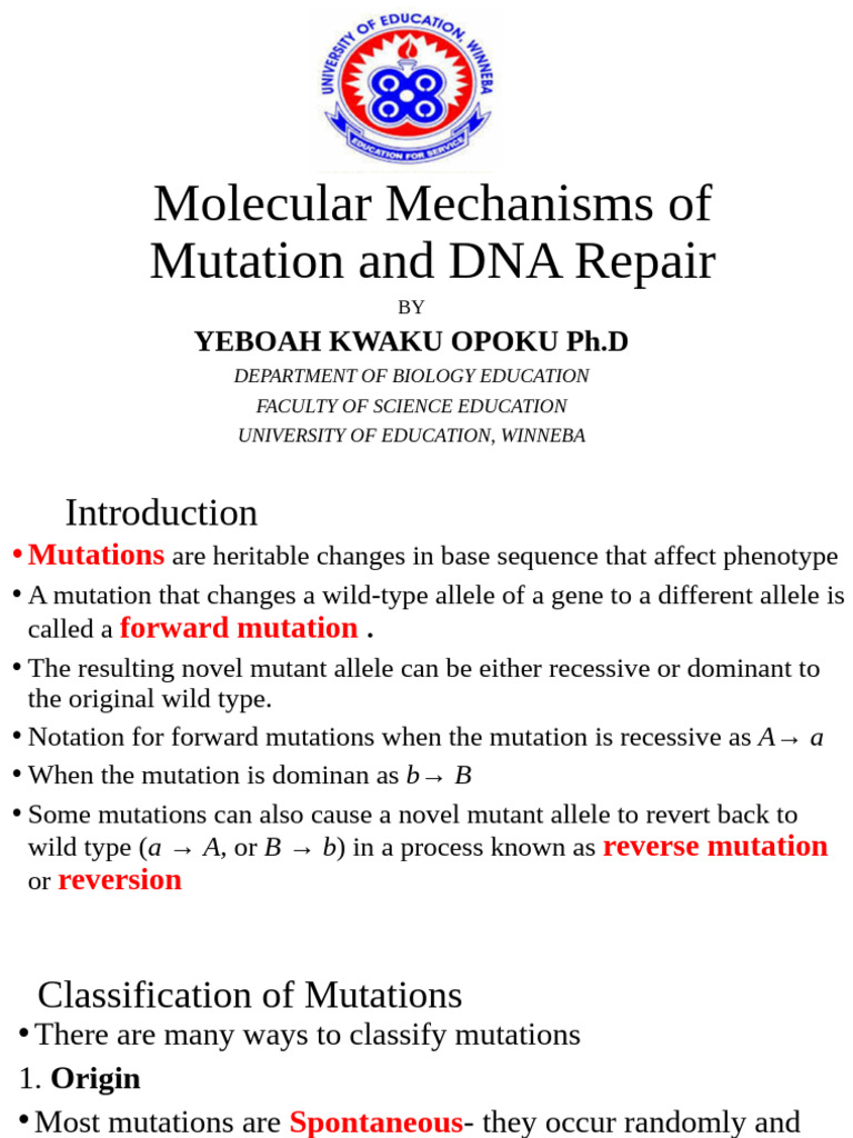 7.0 Molecular Mechanisms of Mutation and Dna Repair - 063655 | PDF ...