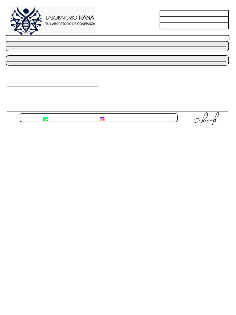 Dylan Vidal 79903 20 21102024 | PDF | Riñón