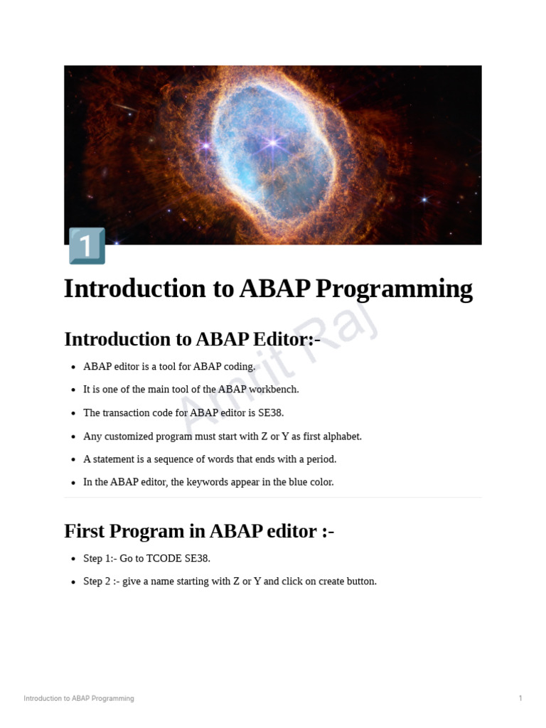 Abap Programming Basics 1725044345 Pdf Data Type Variable Computer Science