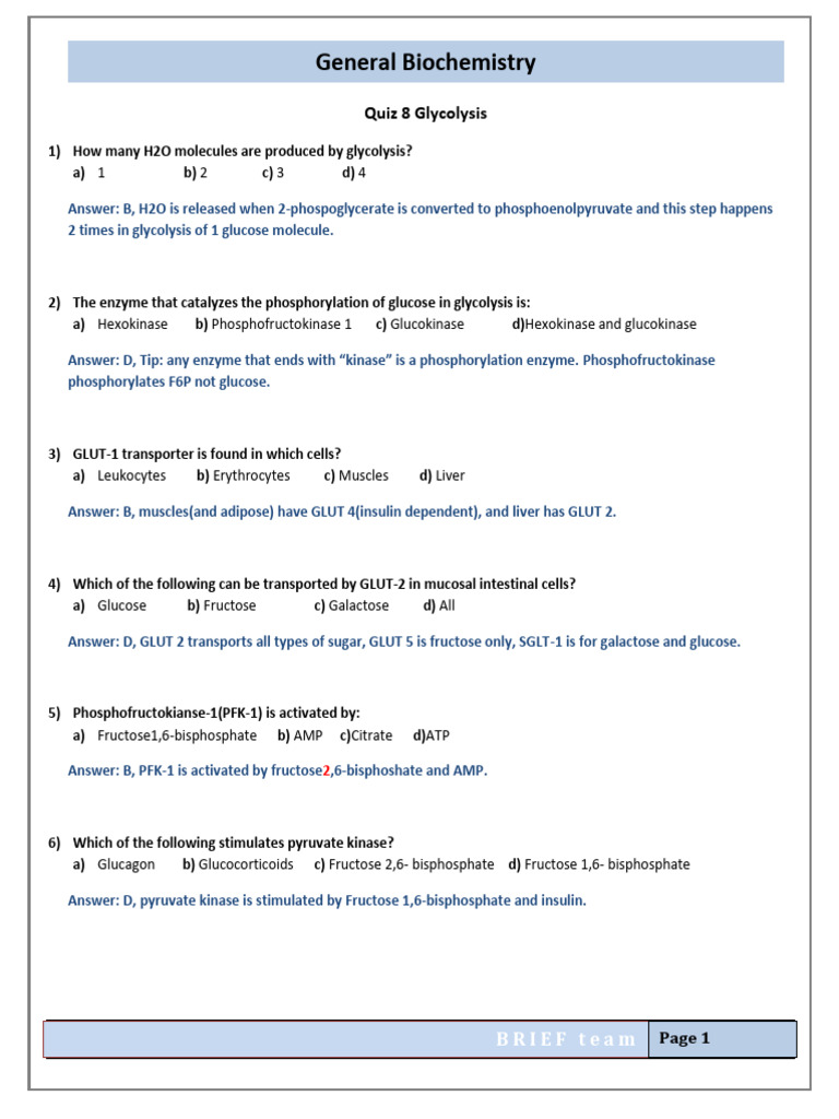 Glycolysis Quiz and Key Concepts | PDF | Glycolysis | Adenosine ...