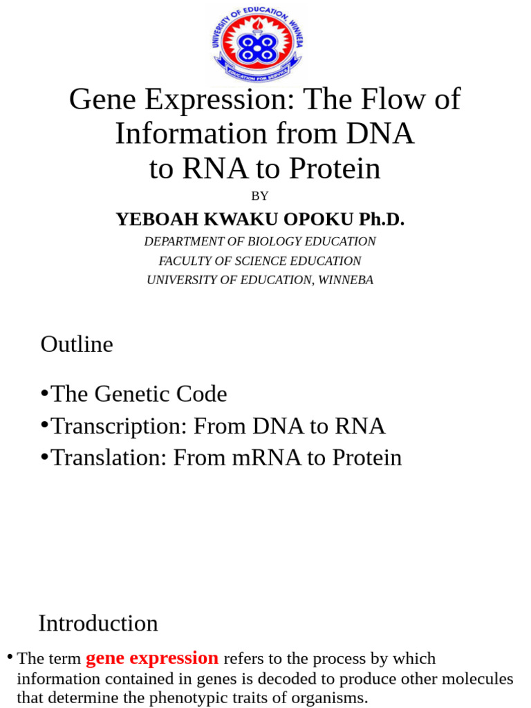 Gene Expression - 063310 | PDF | Translation (Biology) | Rna
