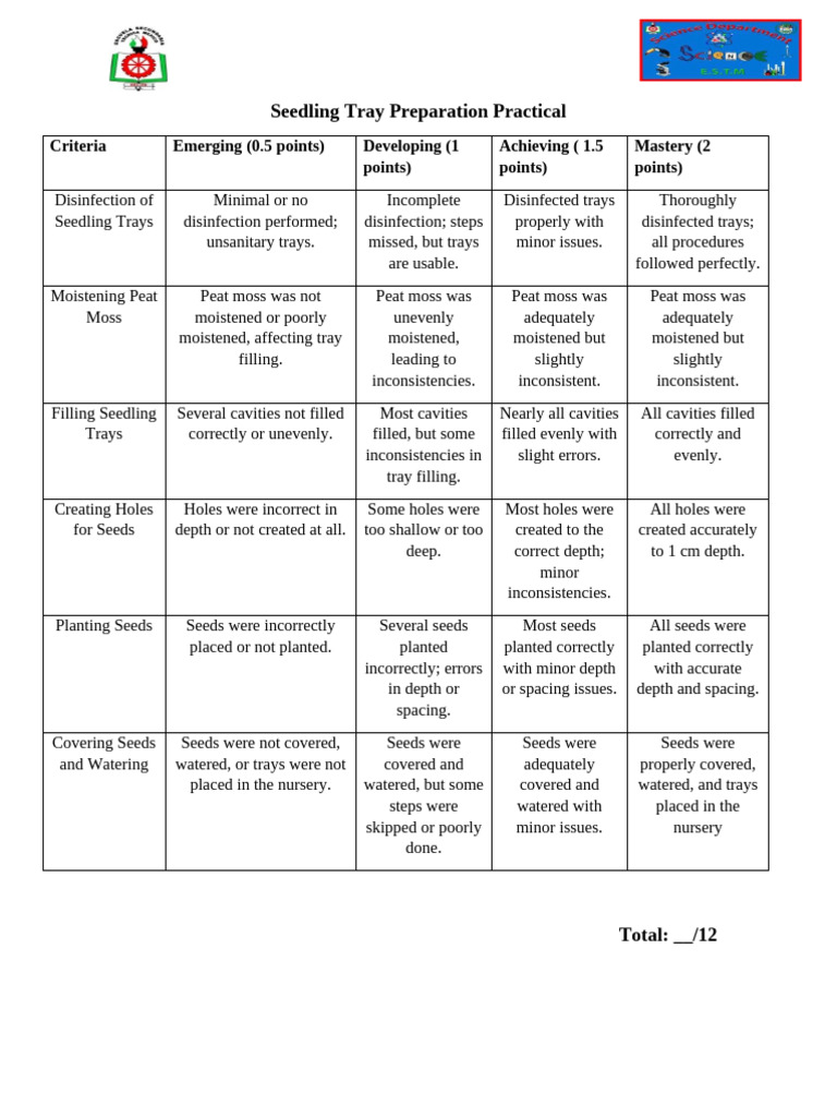 Seedling Preparation Rubic Pdf Plants Botany