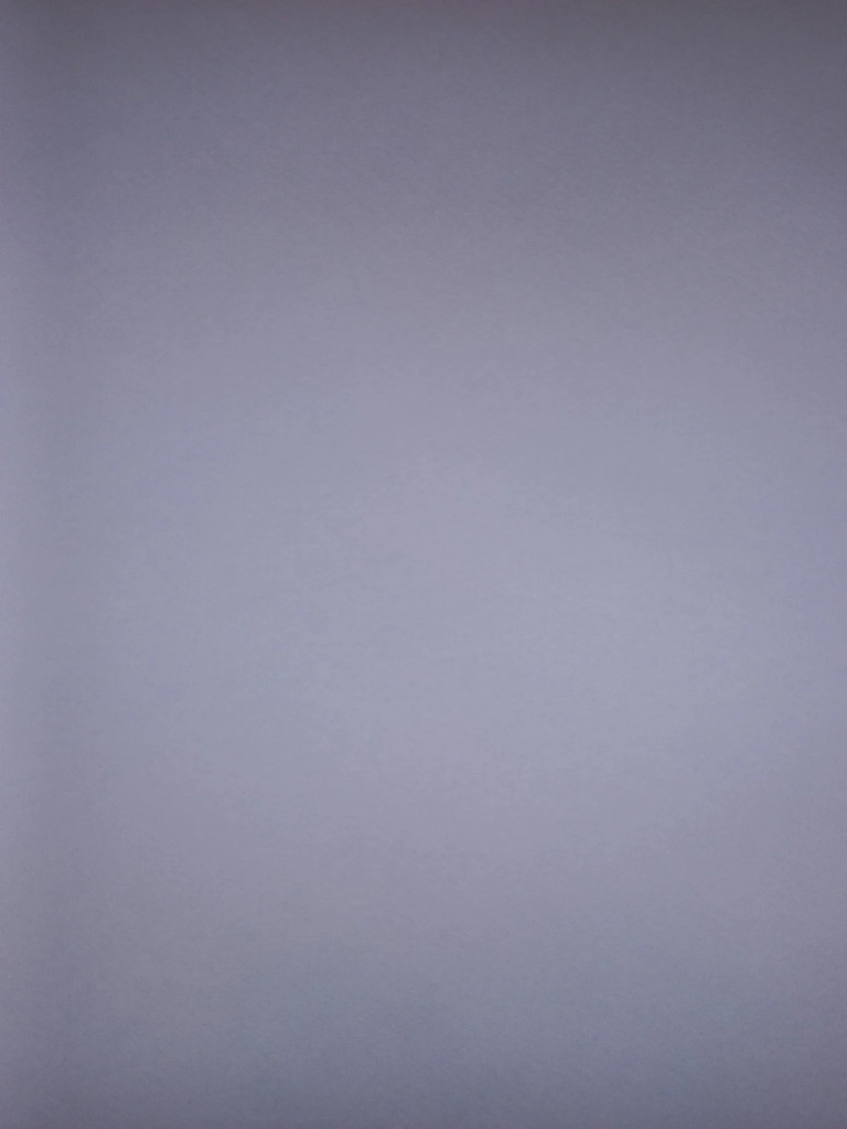 Folha em Branco | PDF