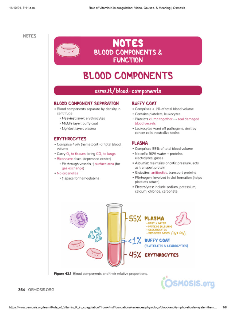 Role of Vitamin K in Coagulation - Video, Causes, & Meaning - Osmosis | PDF