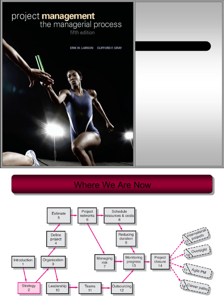 0Chap002-Organization Strategy and Project Selection | PDF | Strategic Management | Goal