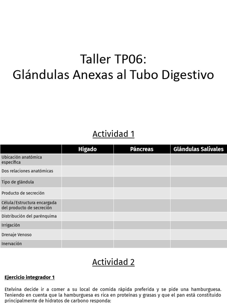 Taller TP6 Glándulas Anexas al tubo digestivo | PDF | Digestión | Sistema digestivo humano