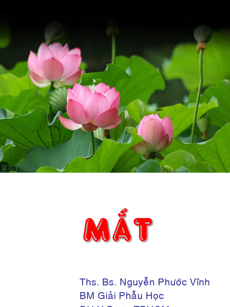 Mat-Tai CN 2023 | PDF