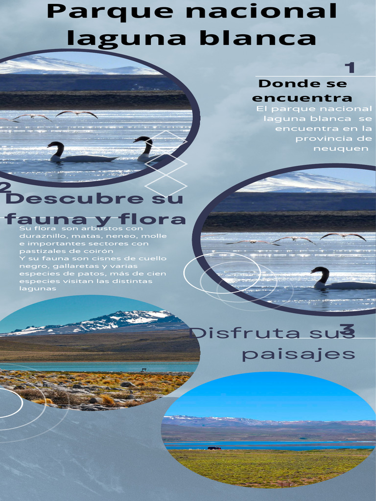 Infografía Turismo Moderno Contemporáneo Azul_20240917_101314_0000 | PDF