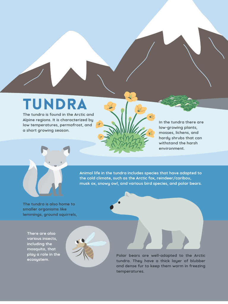 Tundra Ecosystems: Arctic and Alpine | PDF
