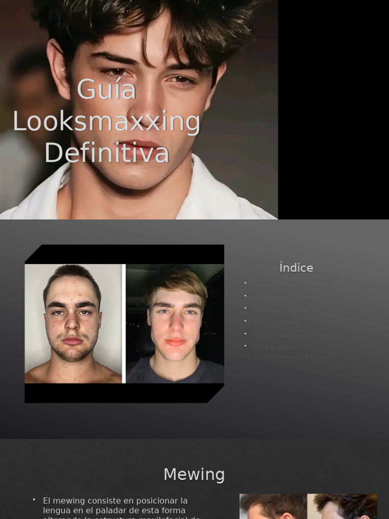 Guia Looksmaxxing | PDF