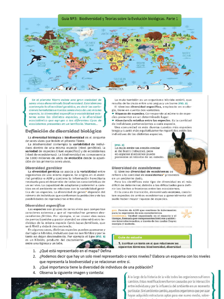 Guia N-3 Evolucion Biologica | PDF | Evolución | Herencia