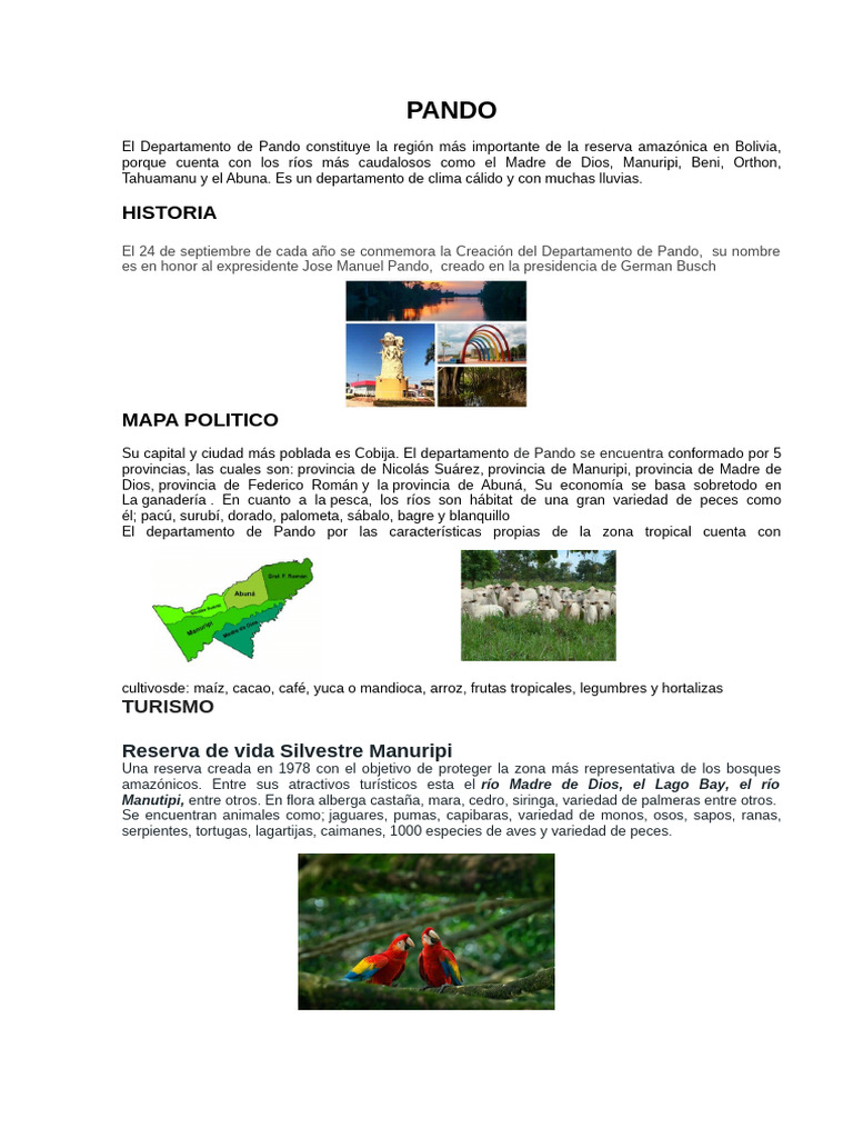 Pando | PDF | Alimentos