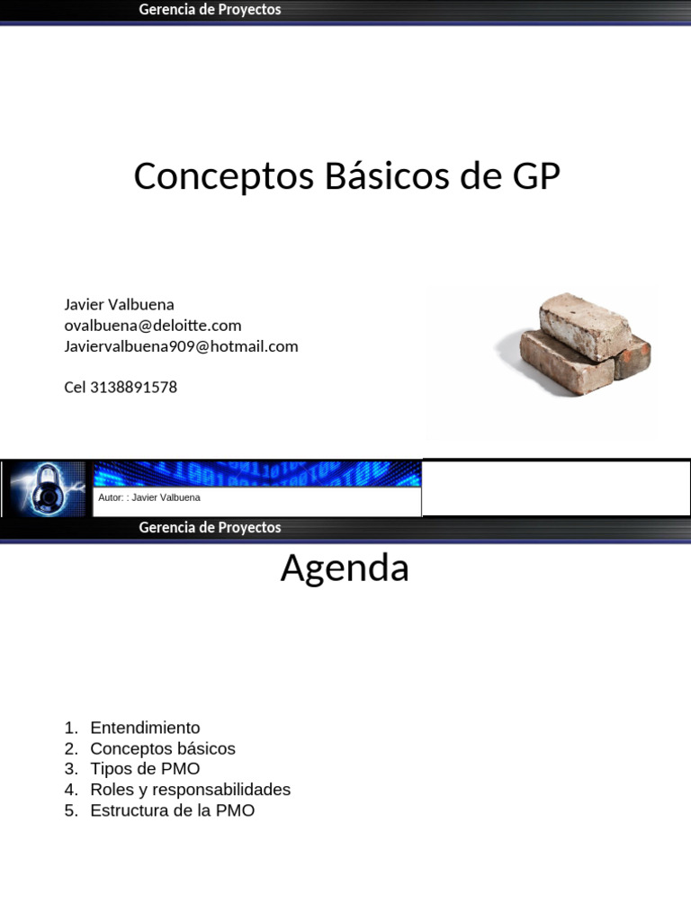 01 - Conceptos Basicos | PDF | Gestión de proyectos | La seguridad informática