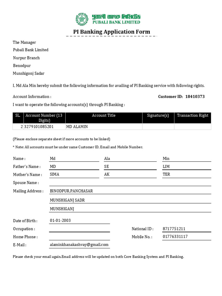 PI Application Form - 20240929 | PDF