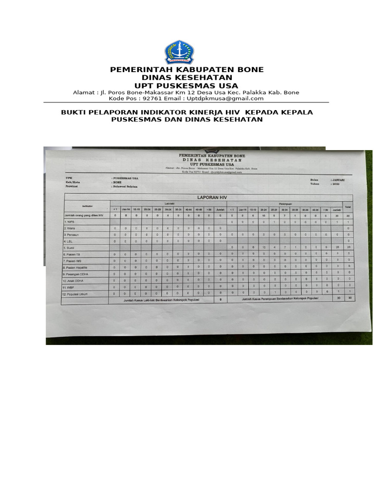 Bukti Pelaporan Indikator Hiv | PDF