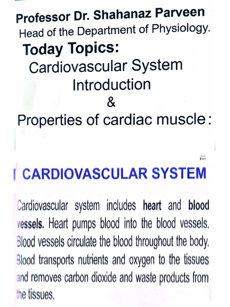 Physio Cardiovascular System | PDF