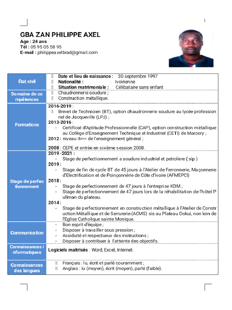 CV Gba Axel Phoenix | PDF