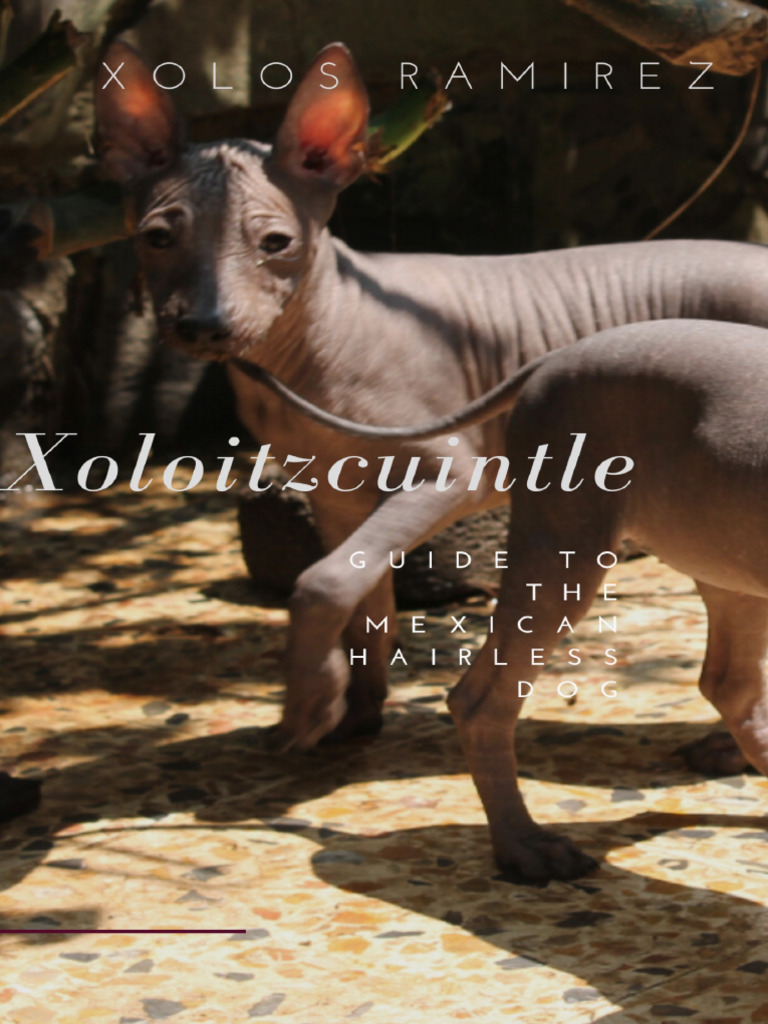 The Xoloitzcuintle A Comprehensive Guide To The Mexican Hairless Dog - Xolos Ramirez | PDF ...