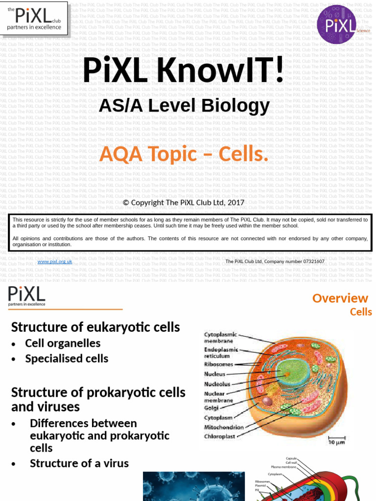 Cells Structure Pixl Powerpoint for 4 Week Test Revision | PDF | Cell ...