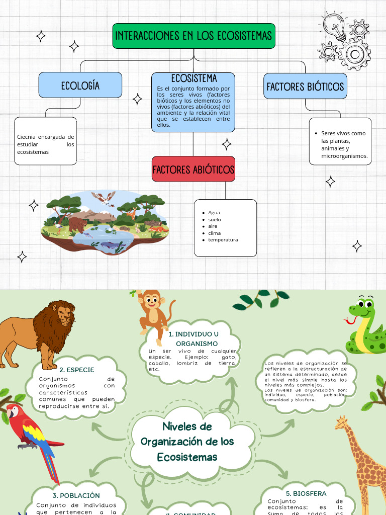 Ecosistemas 4to Grado | PDF | Ecosistema | Habitat