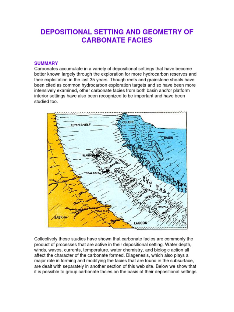 DEPOSITIONAL SETTING AND GEOMETRY OF Dep. Carbonatados | PDF ...