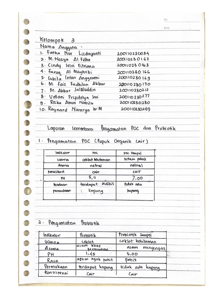 280 - Rizka Ainun Nabila - Lapsem MLP | PDF