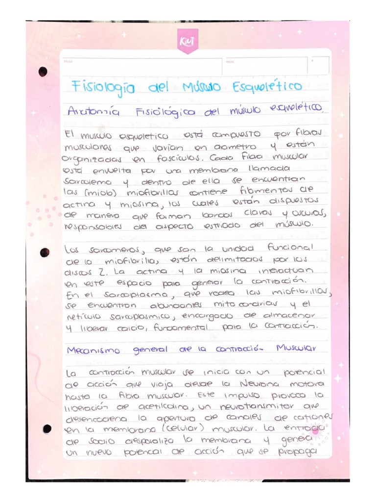 El Musculo Esqueletico Pdf