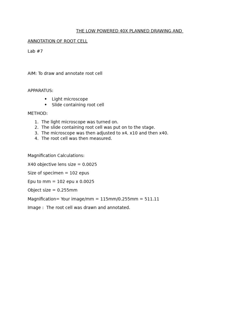 The Low Powered 40x Planned Drawing and Annotation of Root Cell | PDF