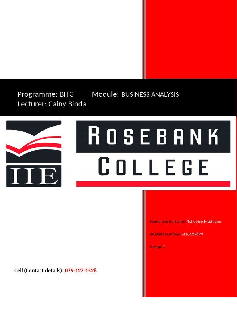 Business Analysis Assignment | PDF | Entrepreneurship | Mentorship