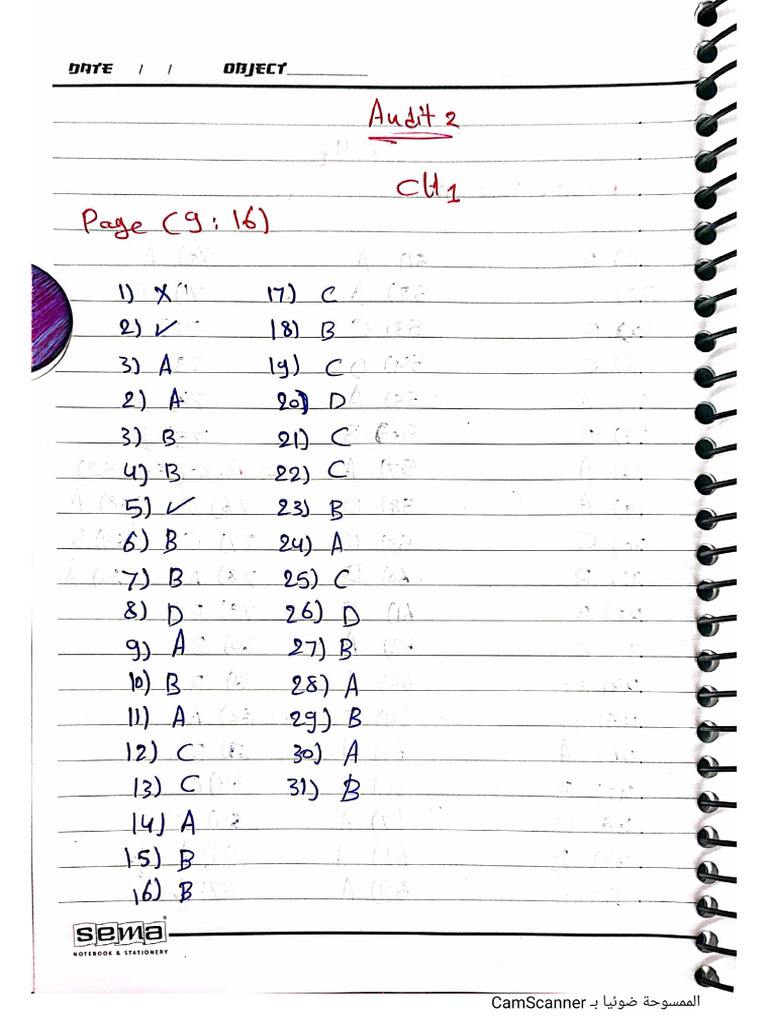 Audit 2 Answer | PDF