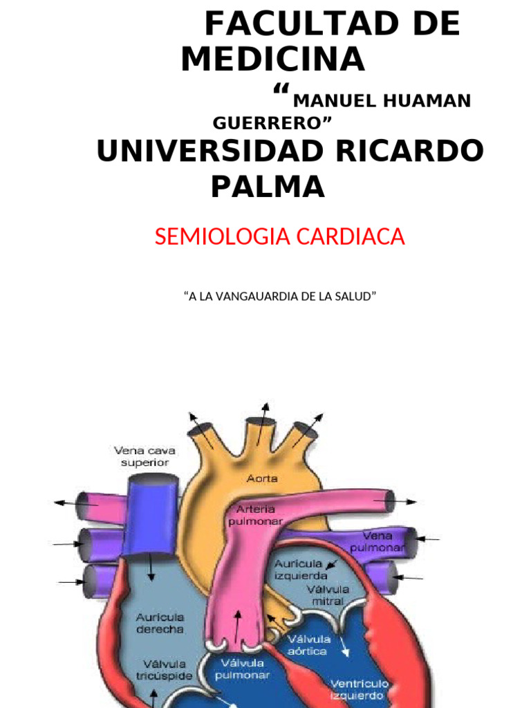 Card Urp - Clas I | PDF | Sistema respiratorio | Edema