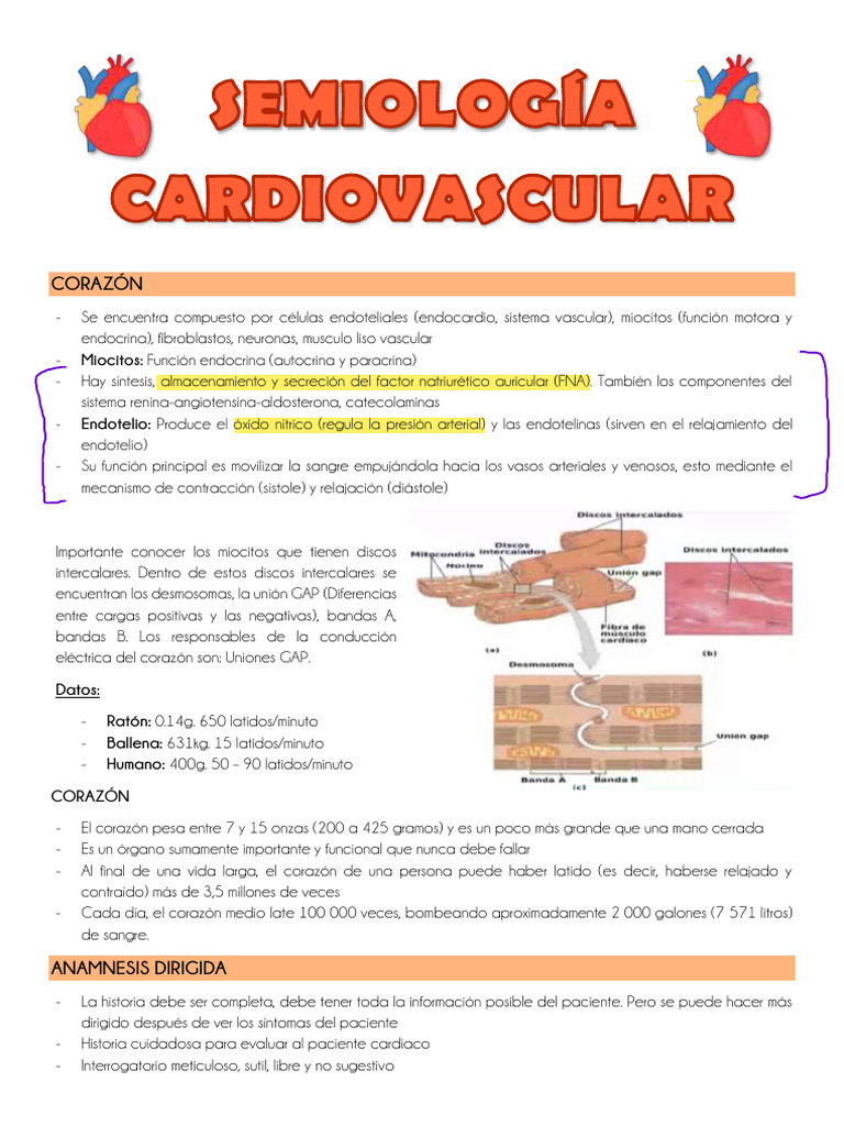 3ra UNIDAD DE SEMIOLOG÷A | PDF | Insuficiencia cardíaca | Corazón