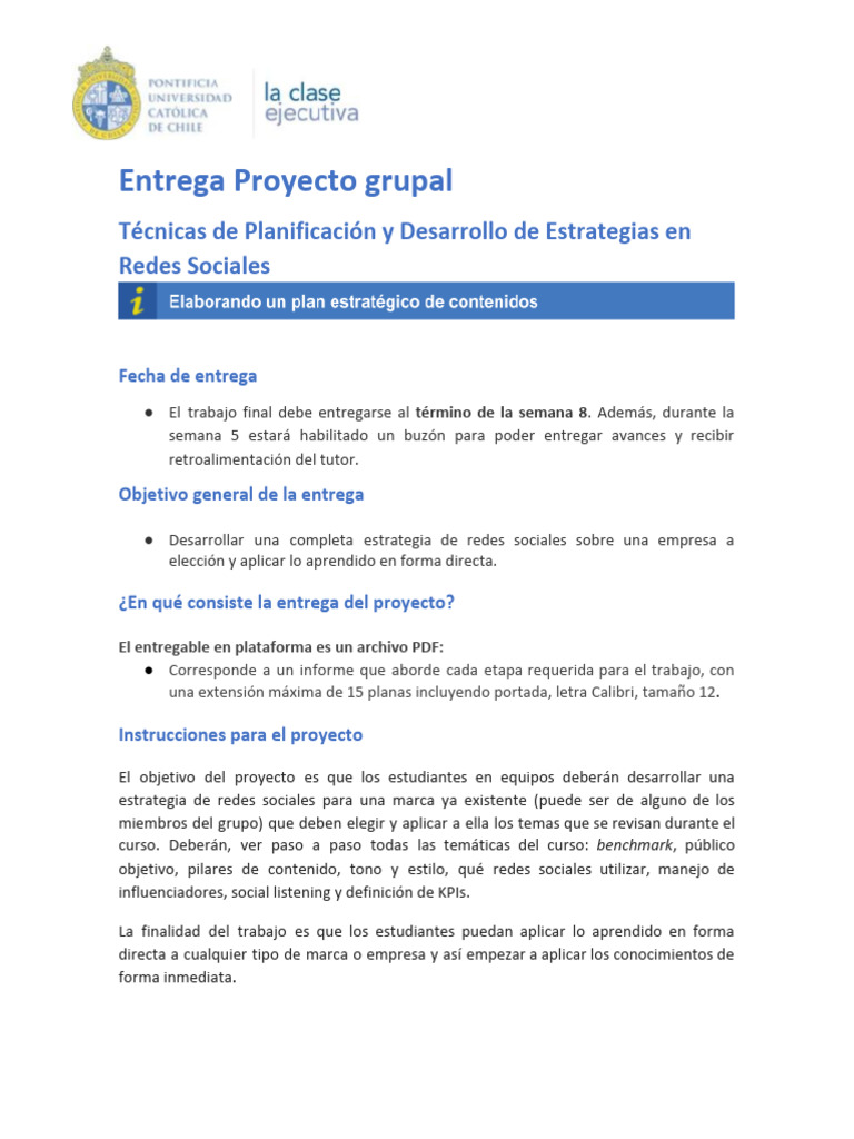 Proyecto Grupal RRSS | PDF