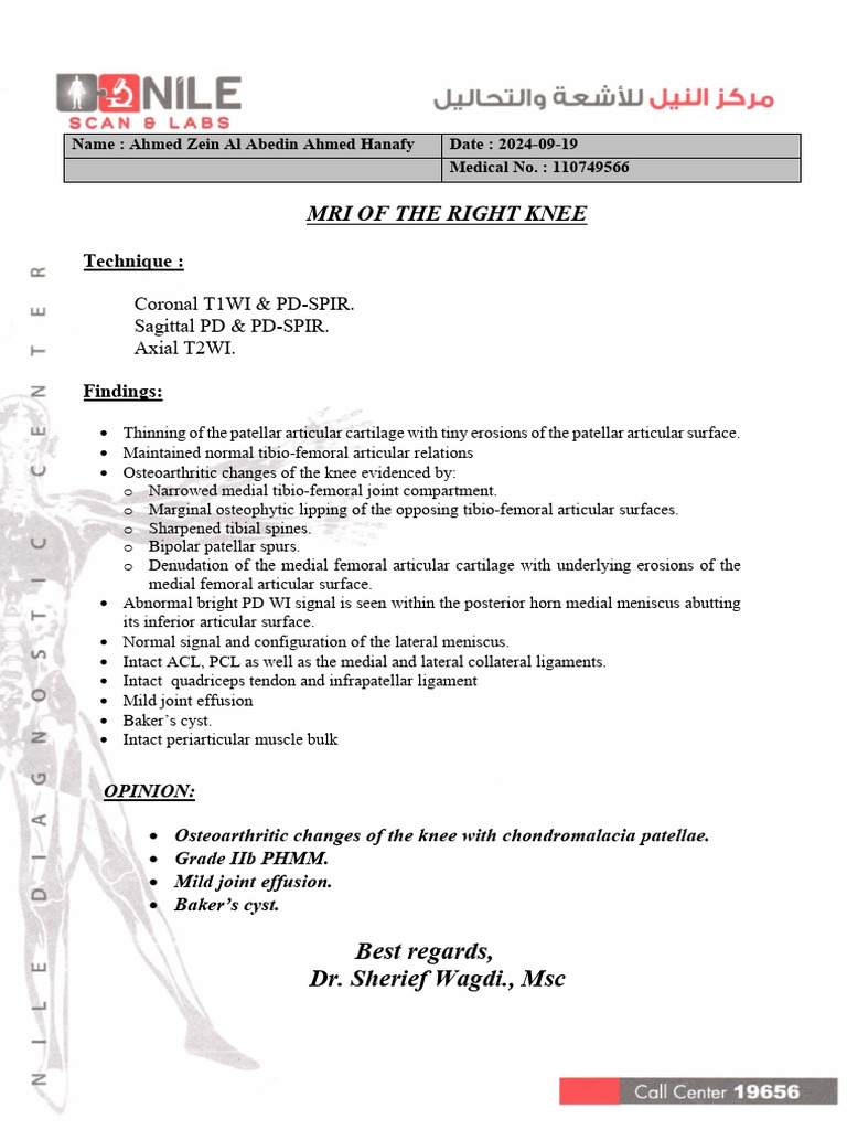 Ahmed Zein Al Abedin Ahmed Hanafy | PDF