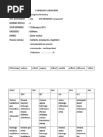 Shona Project | PDF