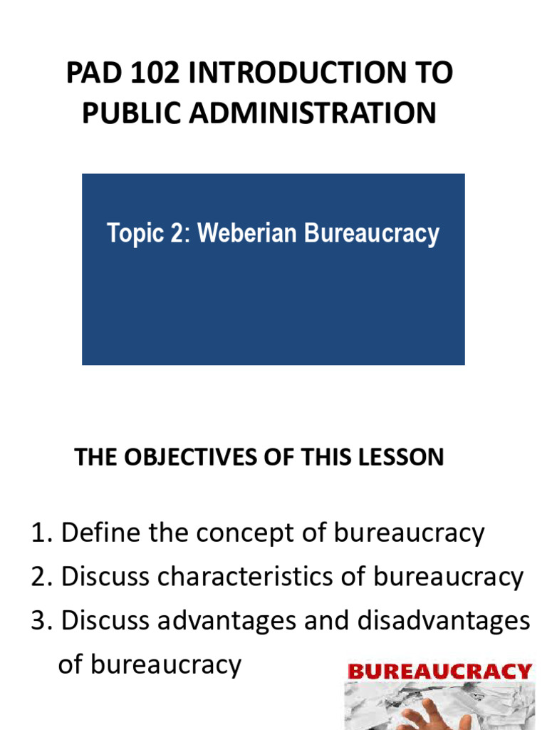 Understanding Bureaucracy in Public Admin | PDF | Bureaucracy