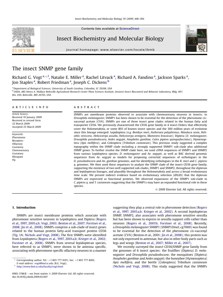 Insectgene 1 | PDF | Complementary Dna | Molecular Cloning