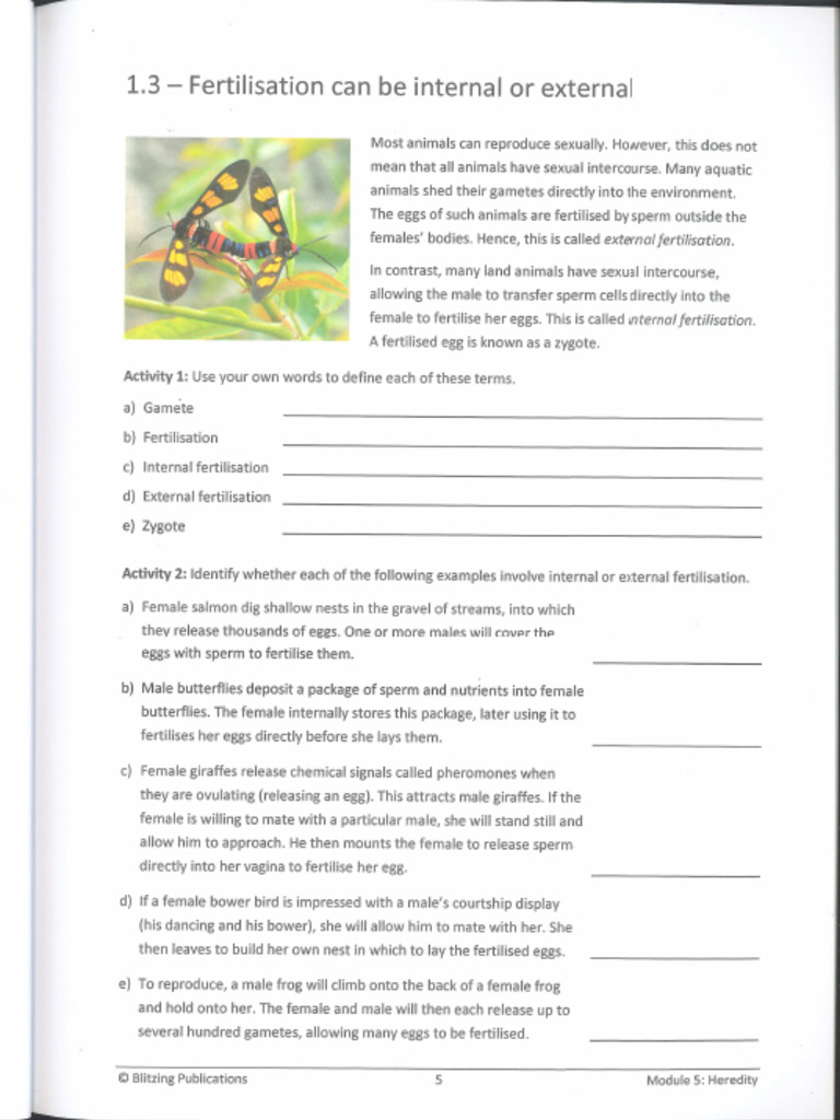 Fertilisation Can Be Internal or External | PDF