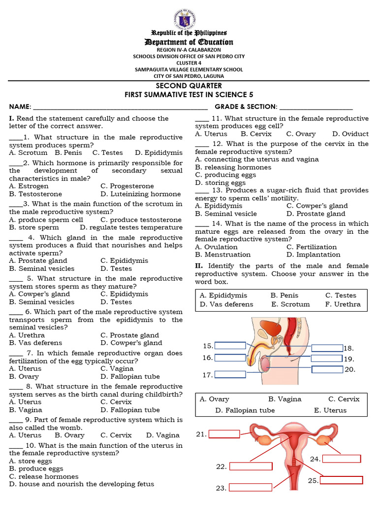 Q2 - Science 5 - 1ST Summative Test | PDF | Reproductive System | Anatomy