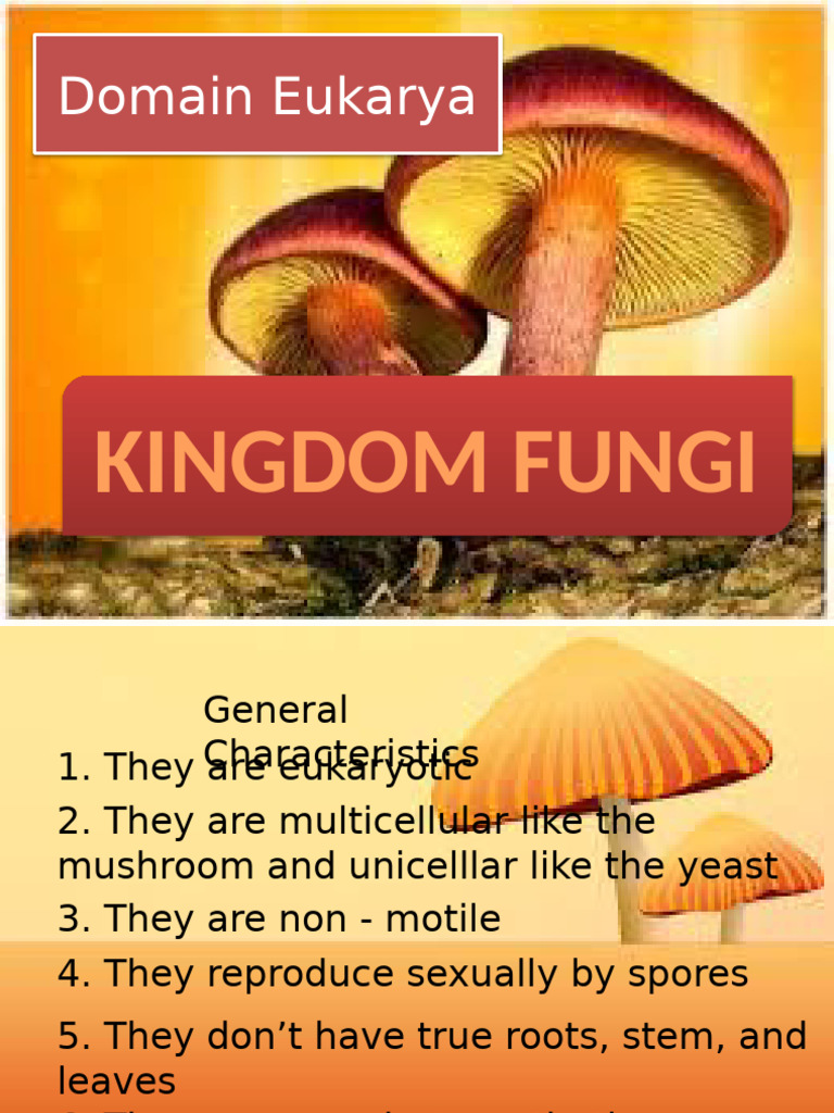Lesson 4 Commonly Used Microbes (Fungi) | PDF | Fungus | Aspergillus