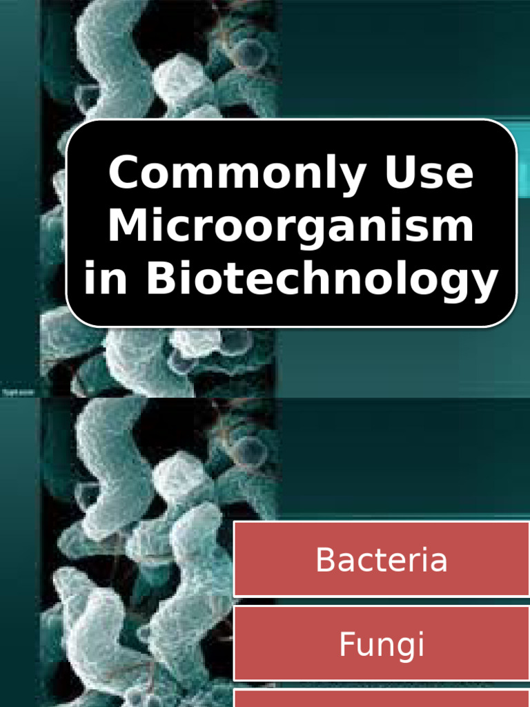 Lesson 2 Commonly Use Microbes (Bacteria) | PDF | Cell (Biology) | Bacteria