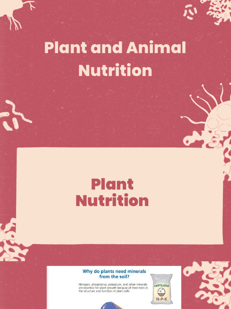 Plant and Animal Nutrition | PDF | Nutrients | Nutrition