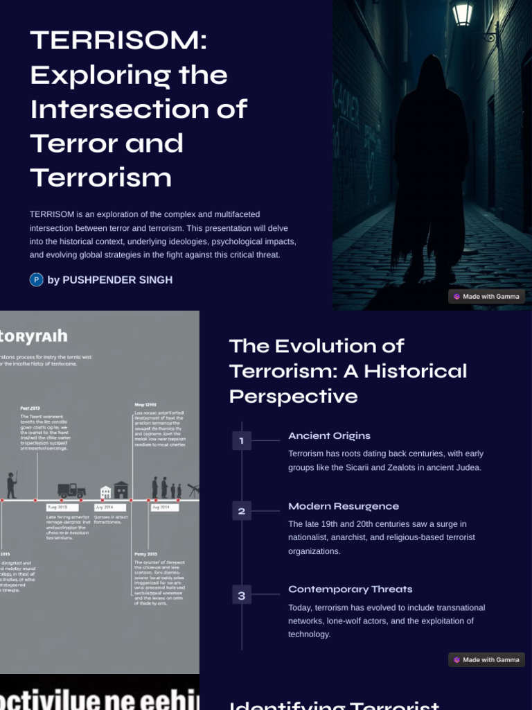 Terrorism: Historical and Future Insights | PDF | Nationalism ...